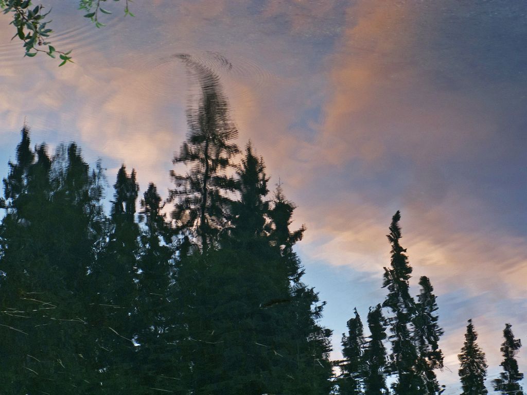 TransNatura 2015 Vadon